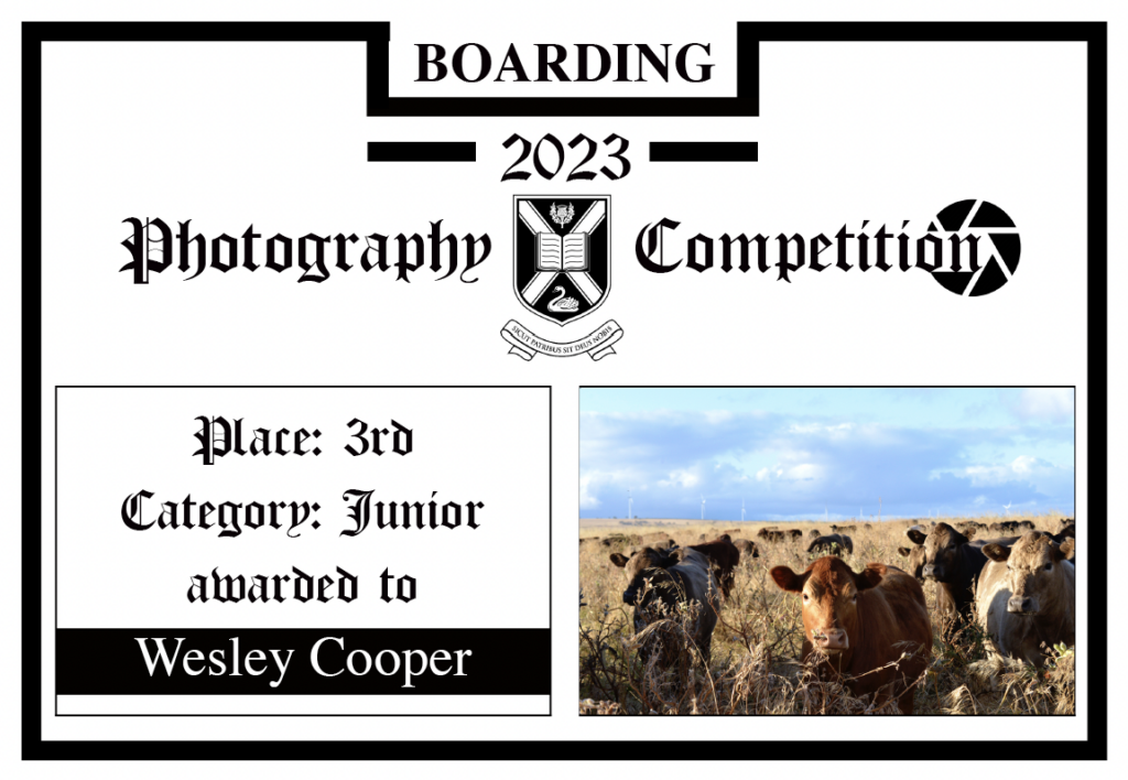 Week 7, Winter Term 2023 – Scotch Boarding
